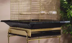 Cage Skirt Parrot Forum Parrot Owners Community
