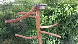 Large bird tree stand for sale | Parrot Forum 🦜 Parrot Owners Community